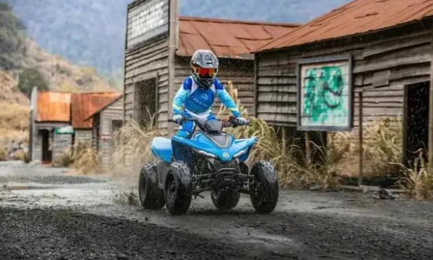 Самый дешёвый подростковый квадроцикл компании Chunfeng – модель ATV110 ...