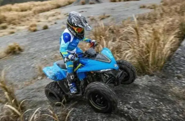 Самый дешёвый подростковый квадроцикл компании Chunfeng – модель ATV110 ...